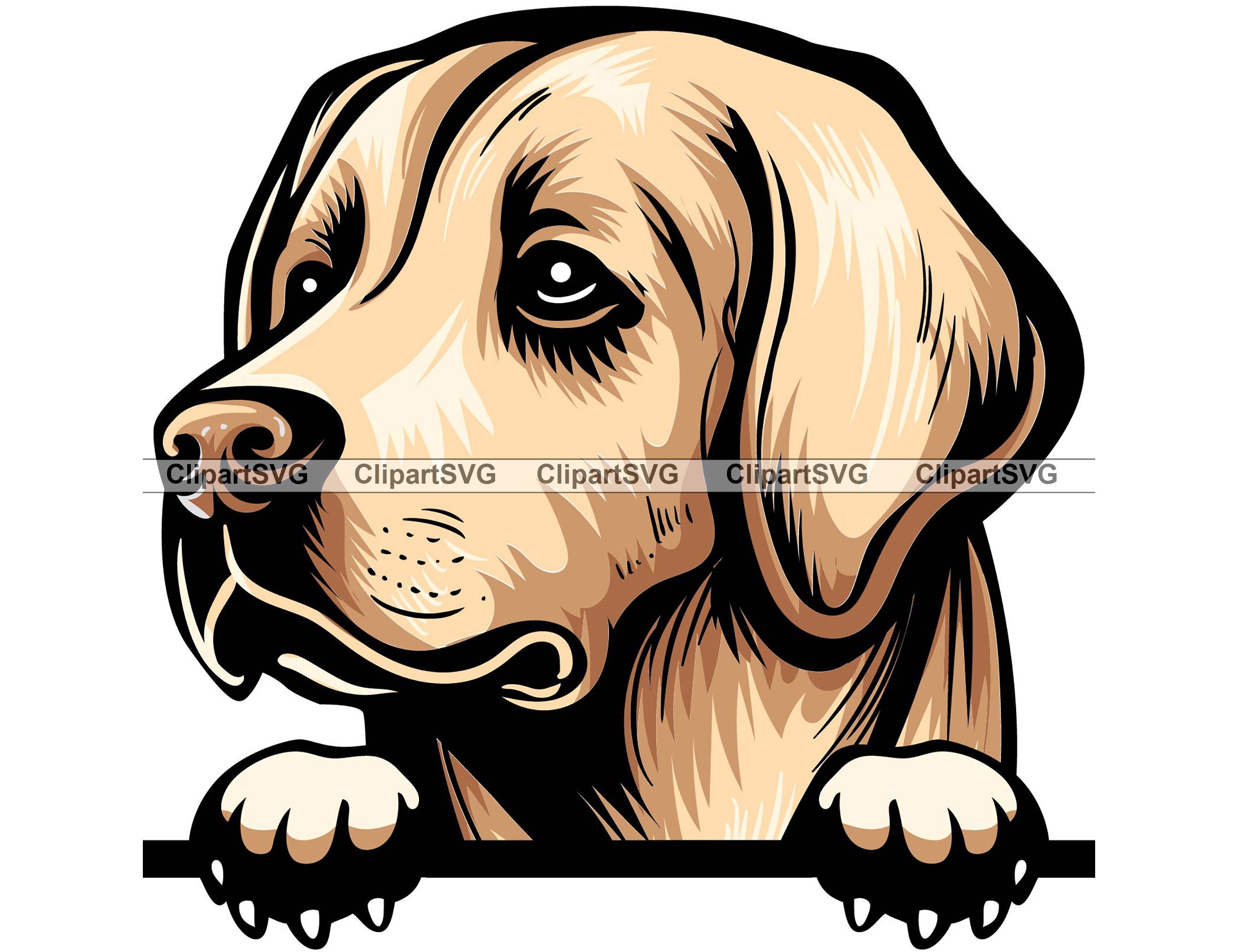 Yellow Lab Cartoon Drawing