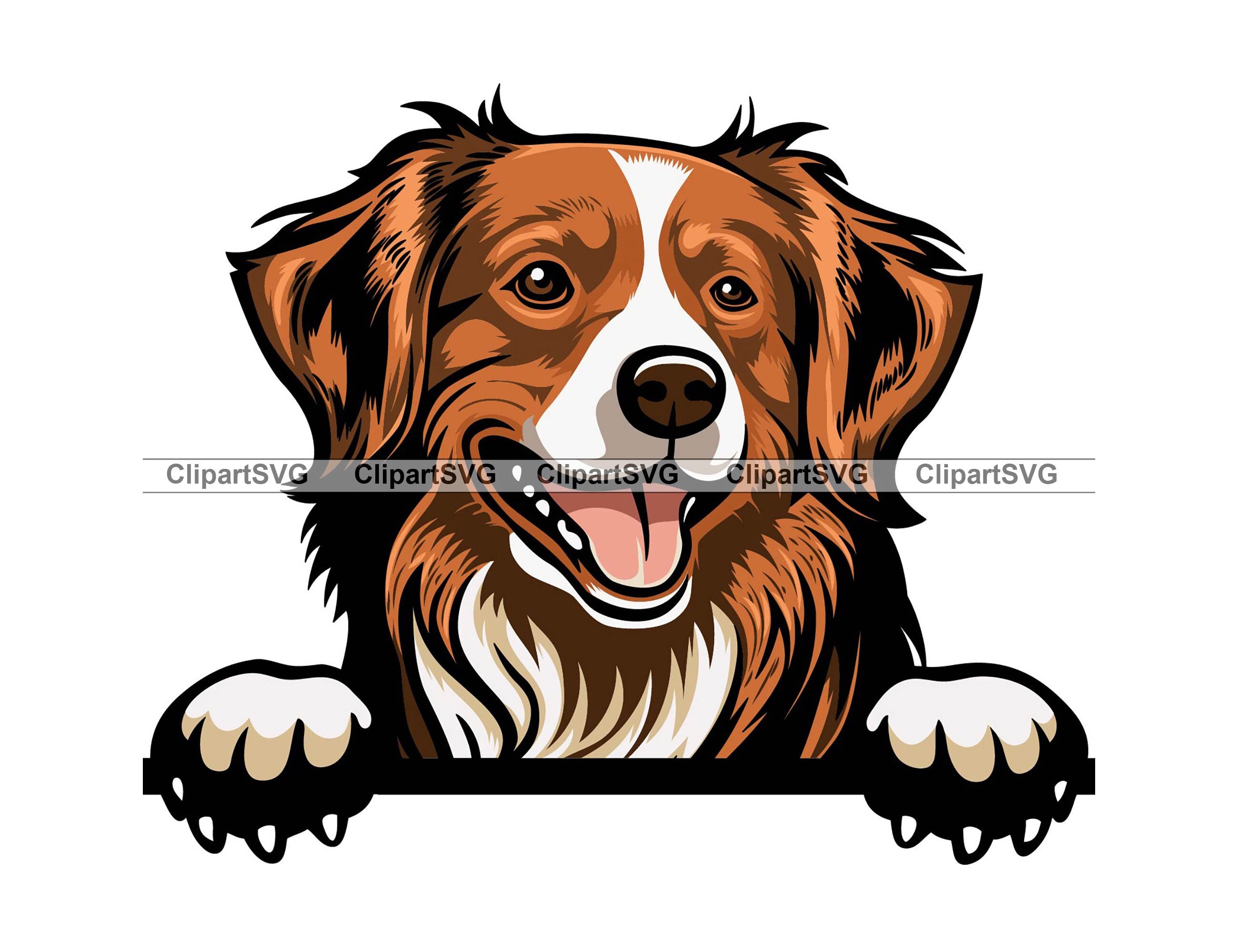 Nova Scotia Duck Tolling Retriever Smiling Peeking Dog Puppy Head Pet ...