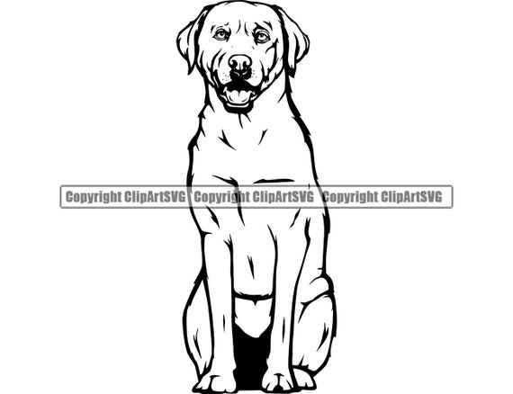 Labrador Dog Sit Sitting Breed Happy Puppy Pup Pet Purebred - Etsy
