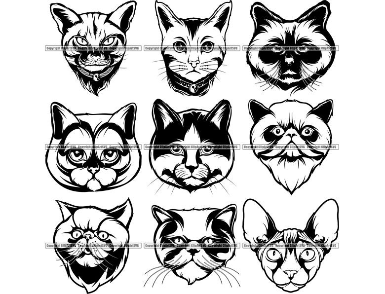 BUNDLE Cat Breeds Head Face Kitten Kitty Feline Pedigree | Etsy