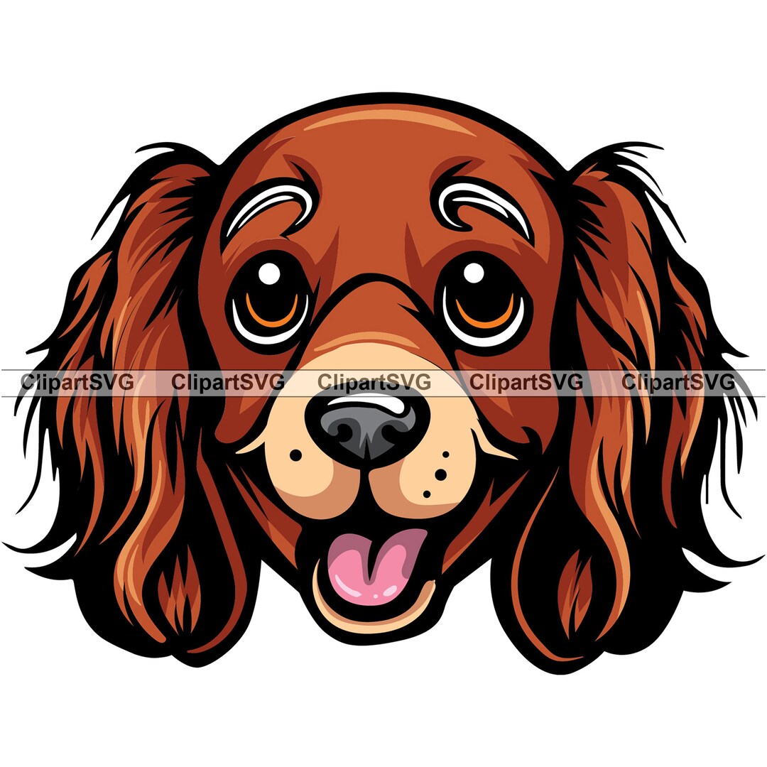 Irish Setter Smiling Dog Cute Puppy Head Canine Pet Animal Portrait Paw ...