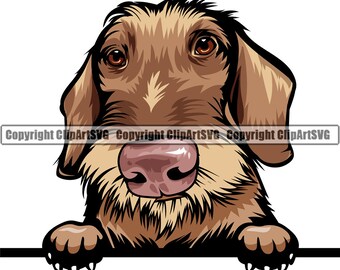 Wiener Face Svg - Etsy