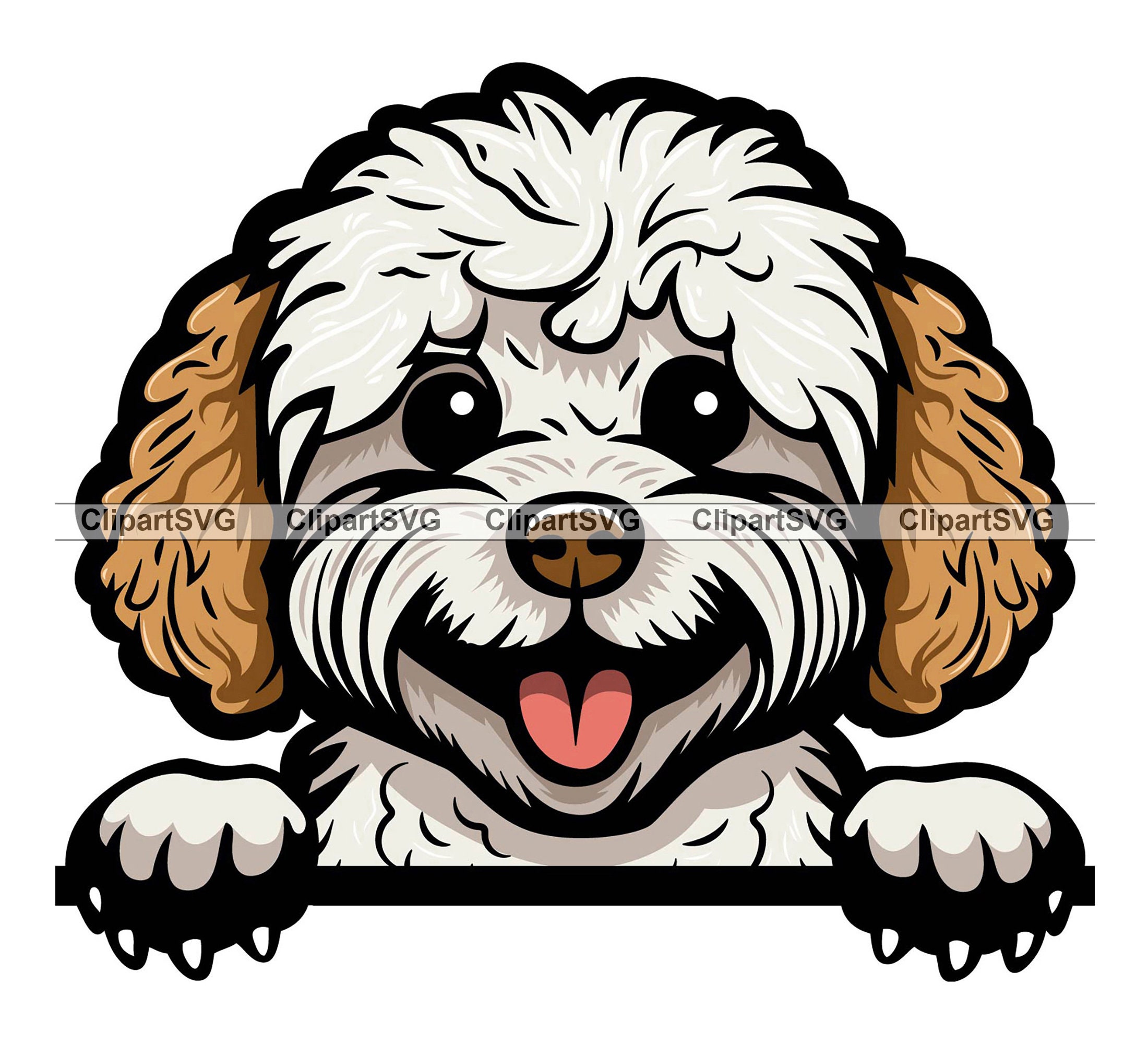 Poochon Smiling Peeking Dog Cute Puppy Head Canine Pet Bichon - Etsy