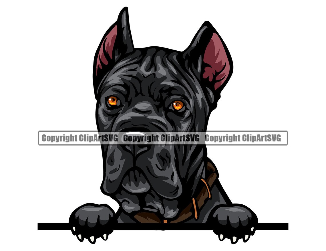 Cane Corso Dog Breed Peeking Peek-a-boo Paw Puppy Pup Pet Great Dane ...