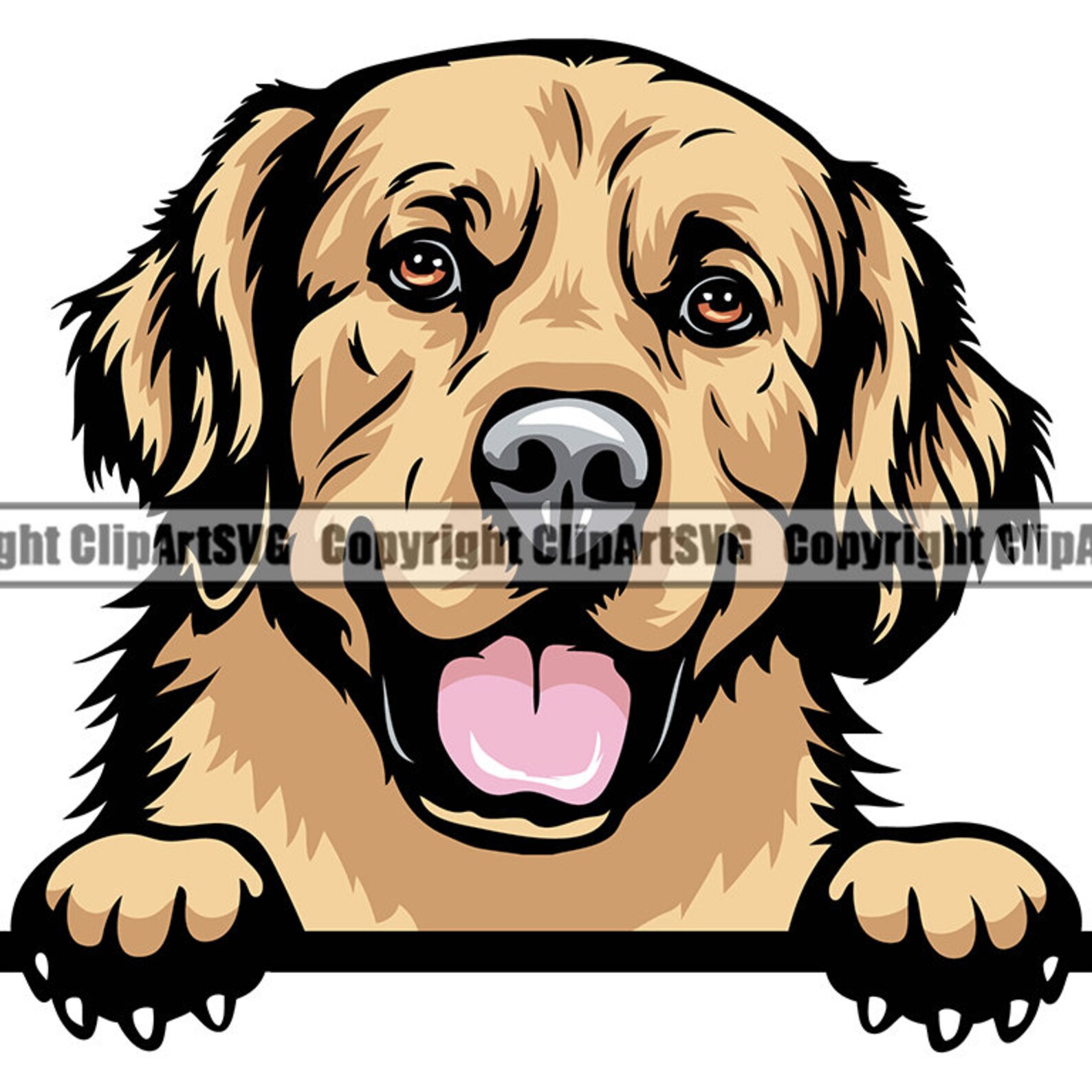 Golden Retriever Dog Peeking Peek-a-boo Breed Happy Face Puppy Animal ...