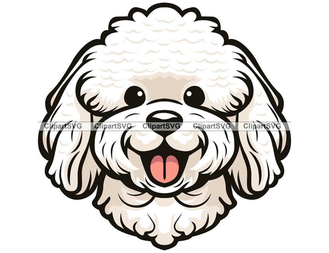 Bichon Frise Smiling Dog Puppy Face Canine Breed Animal Pet Portrait ...