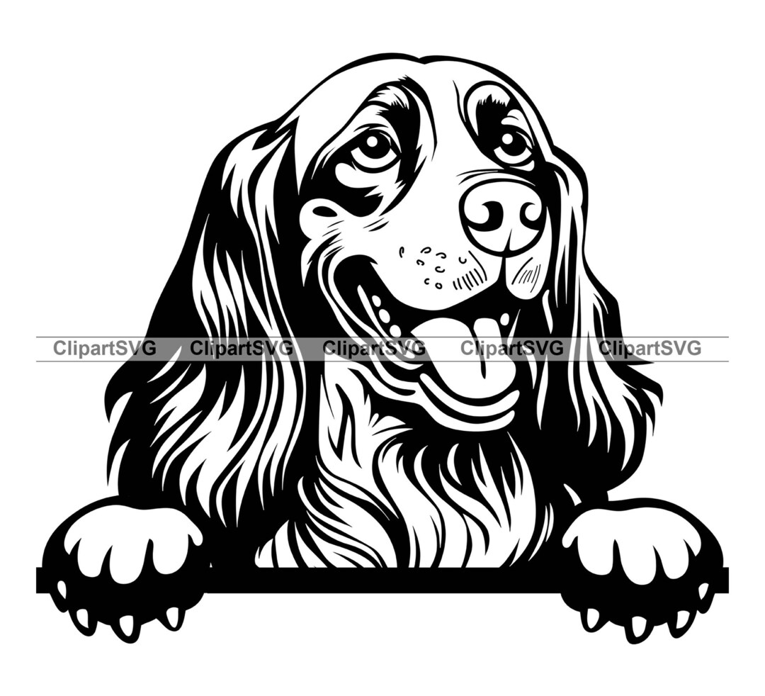 Setters Gordon Smiling Peeking Dog Cute Puppy Face Canine Pet Irish ...