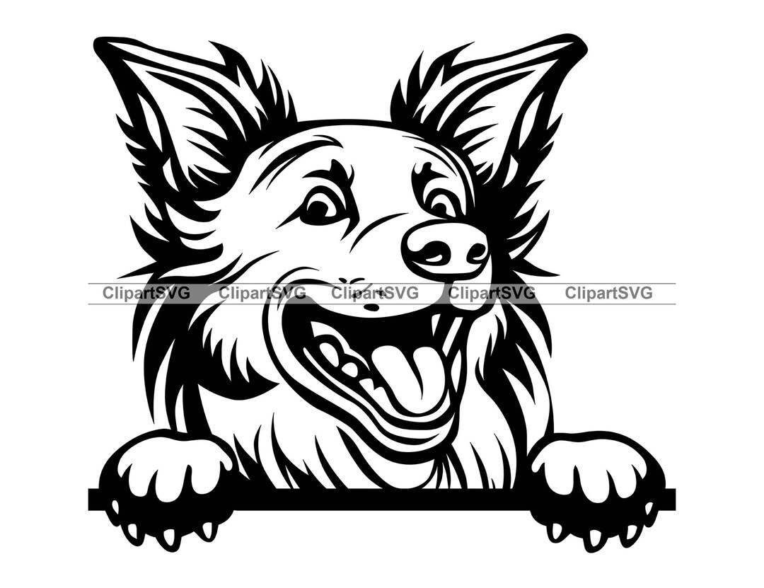 Chinook Smiling Peeking Dog Cute Puppy Face Canine Pet Love Paw Print ...