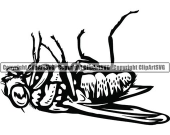 Dead Bug Clipart - Etsy