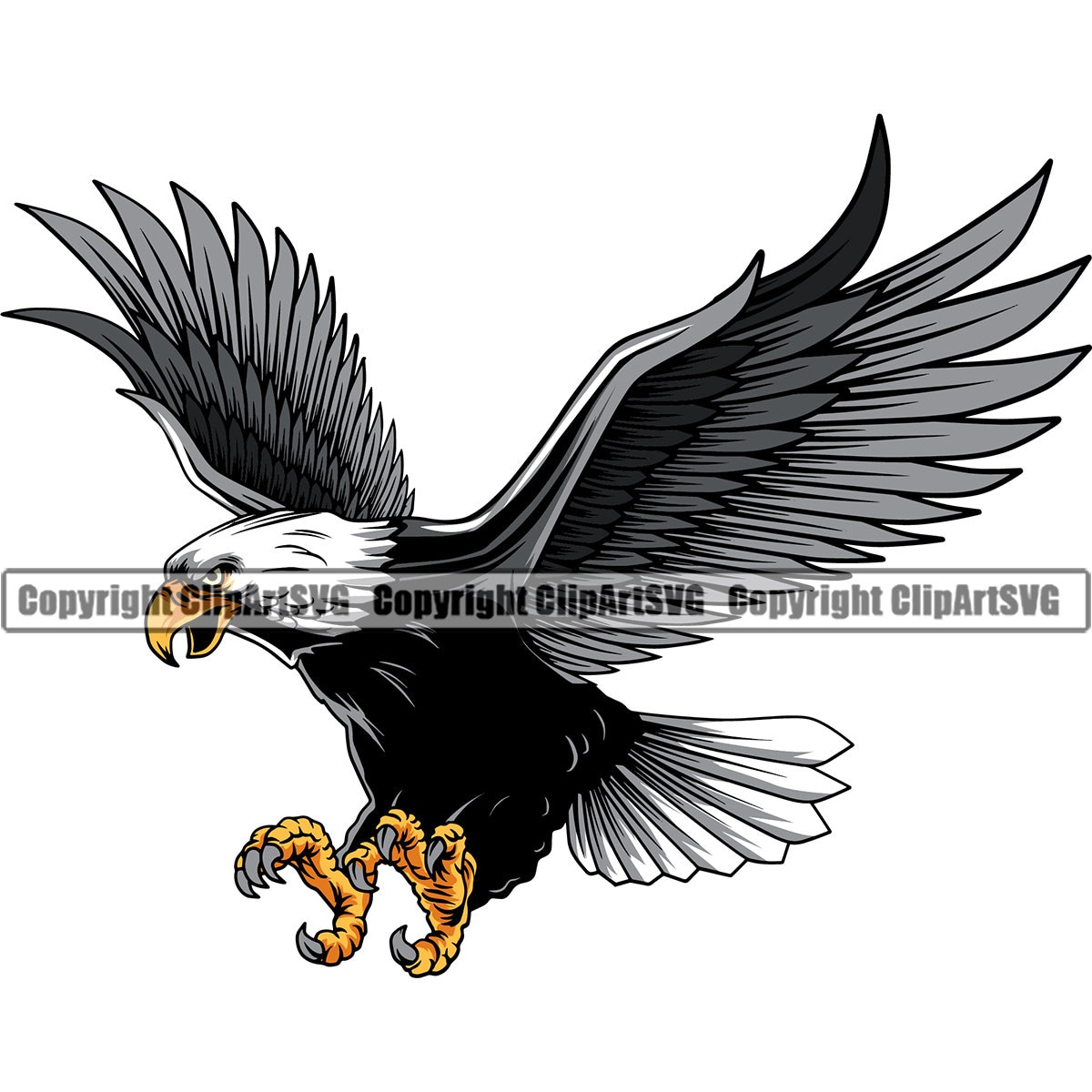 American Bald Eagle Bird Flying Claw Animal Government Law Lawyer ...