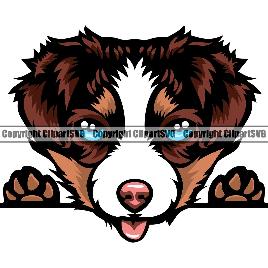 Australian Shepherd Dog Peeking Peek-a-boo Breed Happy Puppy Pup Pet ...
