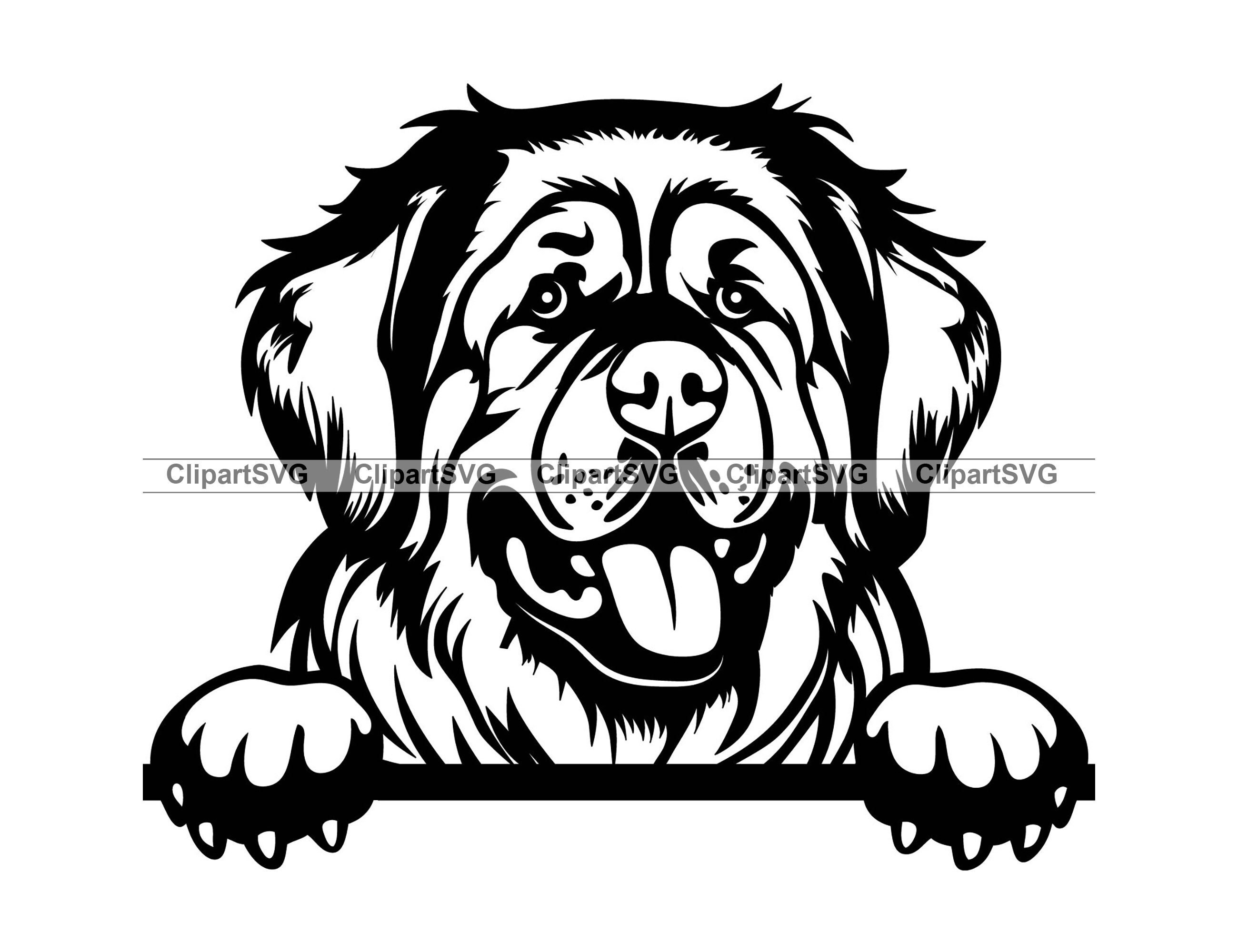 Tibetan Mastiff Smiling Peeking Dog Cute Puppy Face Canine Pet ...