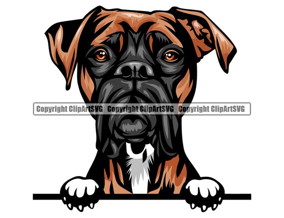 Boxer Dog Breed Peeking Peek-a-boo Happy Face Puppy Animal Pet | Etsy