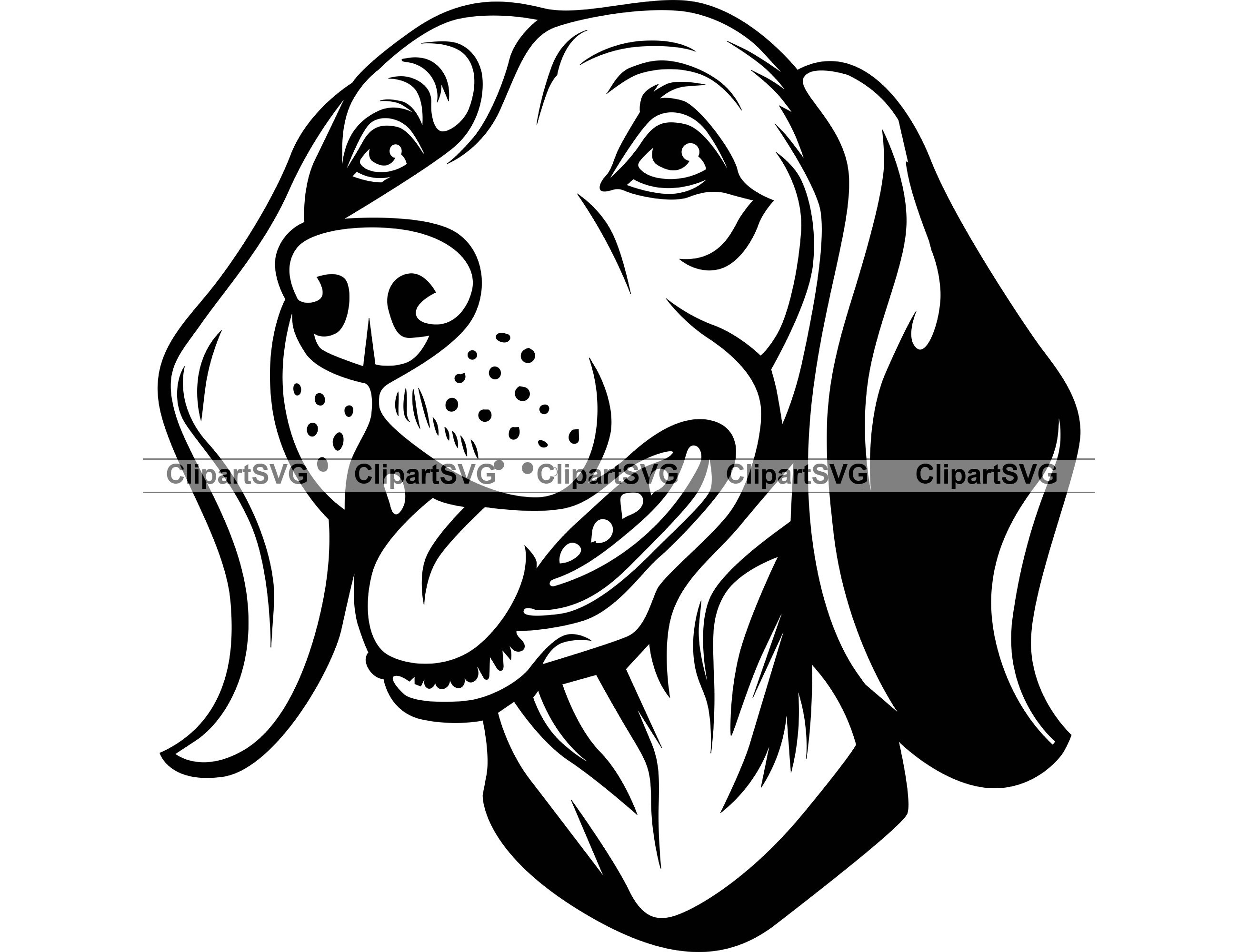 Redbone Coonhound Dog Smiling Cute Puppy Happy Face Canine Pet Breed ...