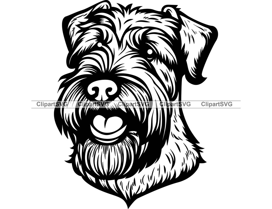 Soft Coated Wheaten Smiling Dog Cute Puppy Face Pet Goldendoodle Kerry ...