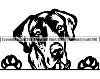 Great Dane Svg | Etsy