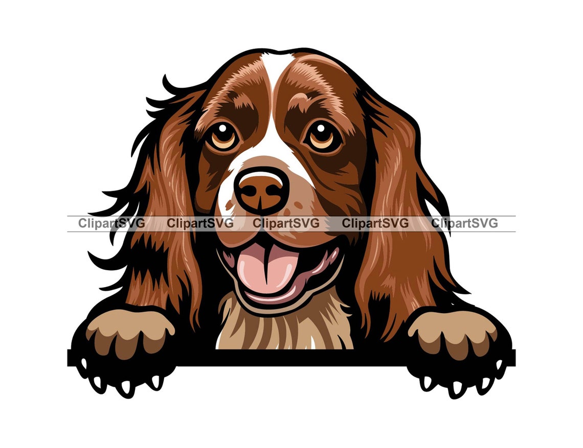 Cocker Spaniel Smiling Peeking Dog Happy Puppy Face Canine - Etsy