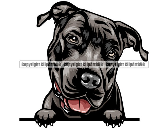 Pit Bull Dog Peeking Peek-a-boo Breed Happy Face Puppy Animal - Etsy