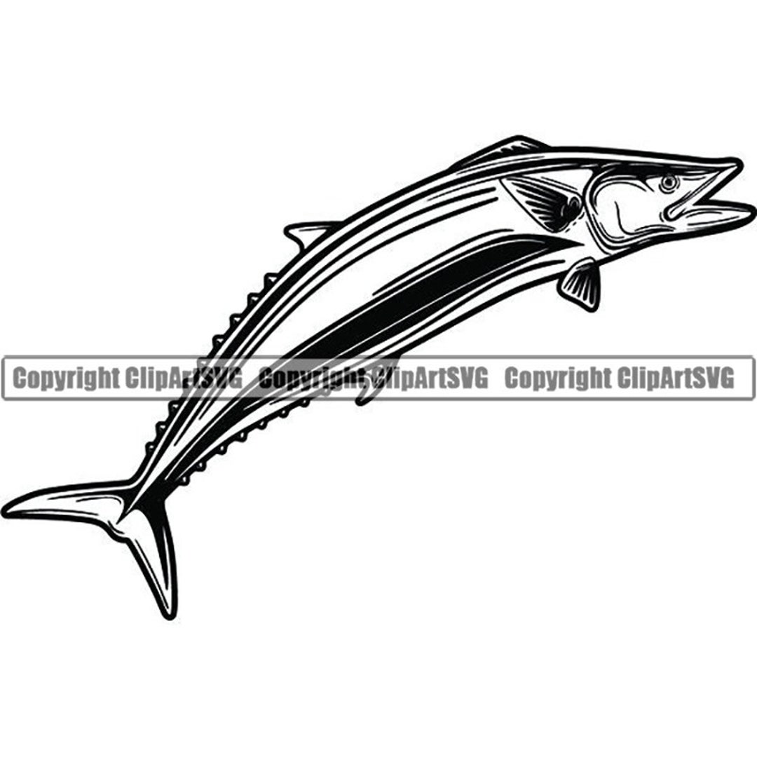Kingfish Fish #1 Fishing Angling Fish Salt Water Ocean Sea Wild Animal ...
