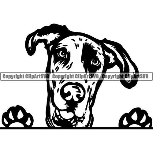 Great Dane Svg Dog Face Vector Image Line Art Clipart - Etsy