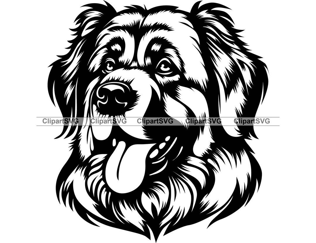 Leonberger Smiling Dog Happy Puppy Face Cute Canine Pet Breed Portrait ...