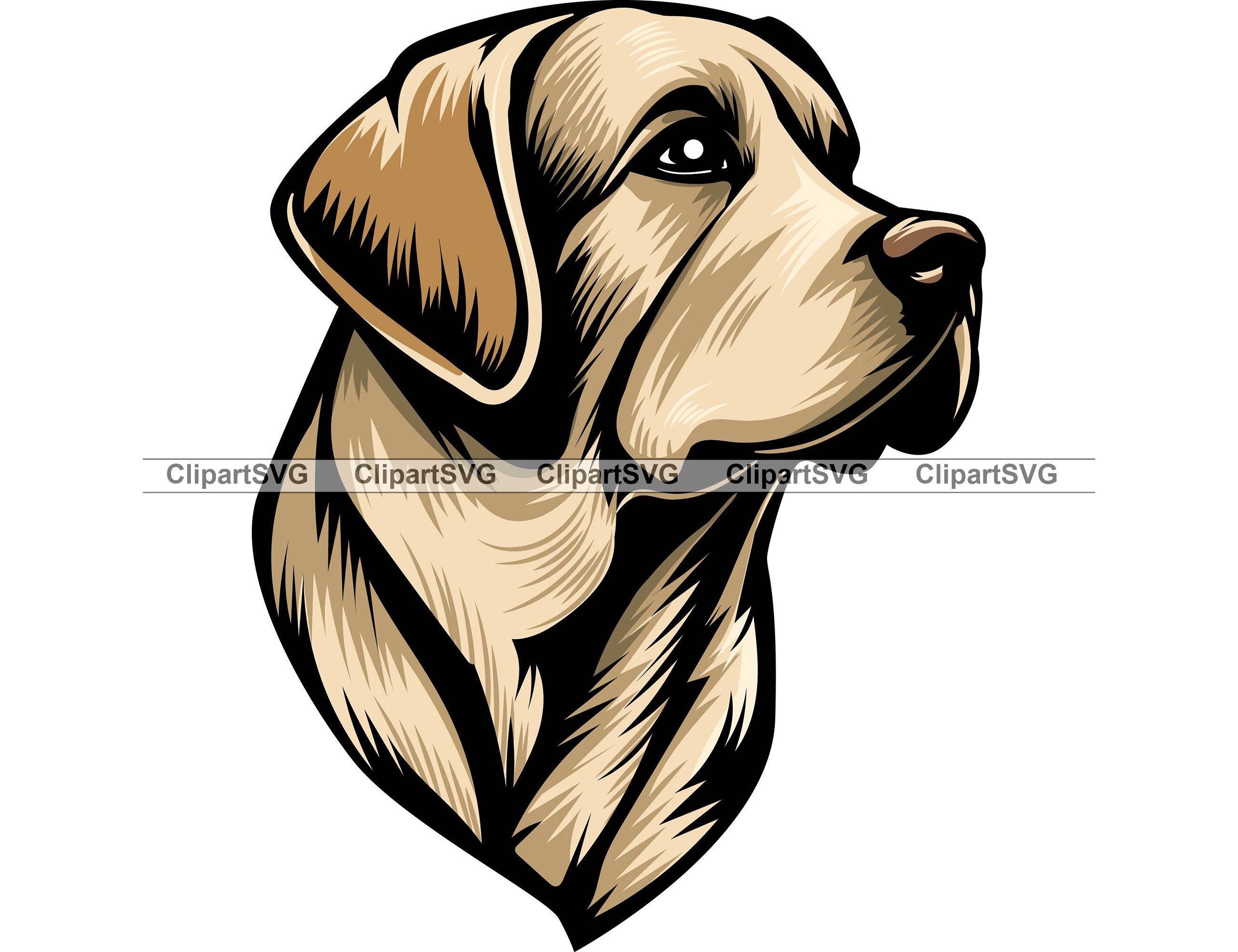 Yellow Lab Cartoon Drawing