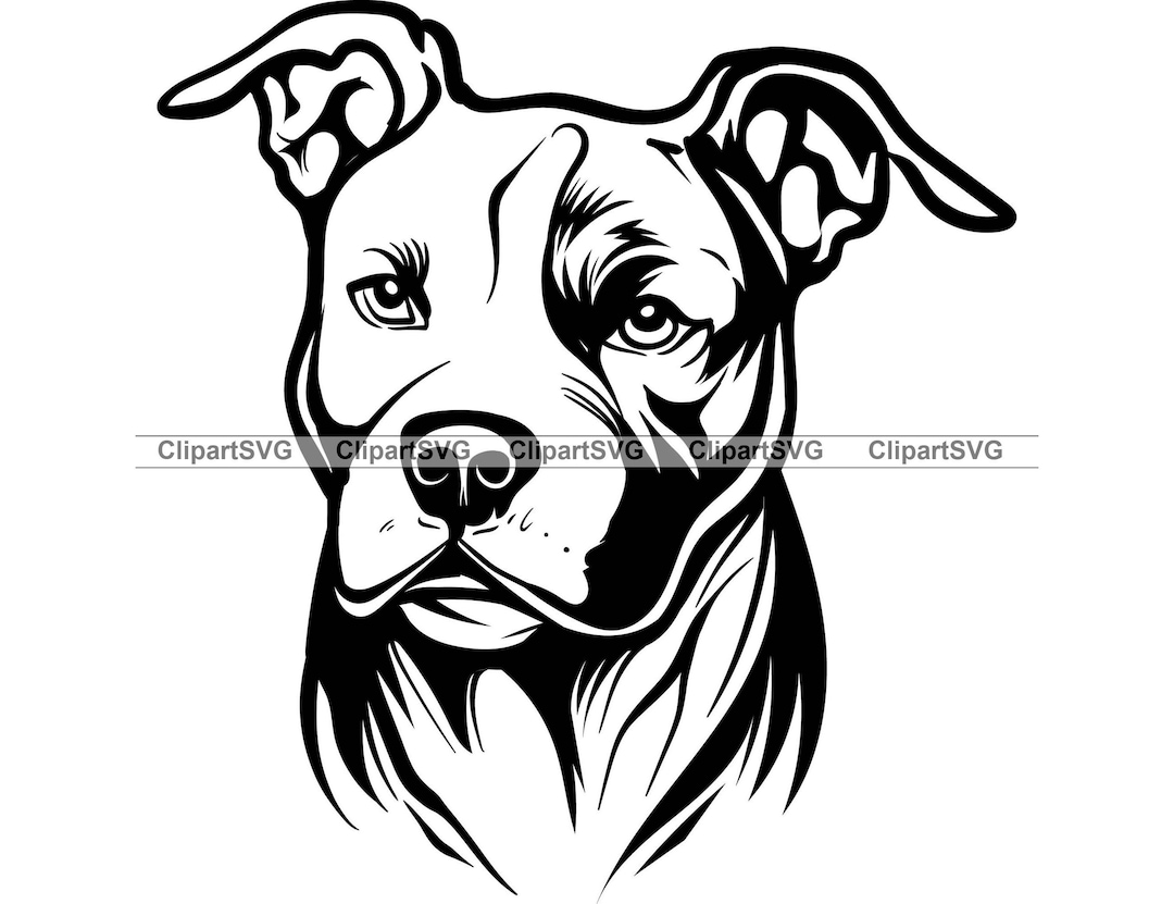 Pit Bull Terrier Dog Cute Puppy Face Canine Pet American Pitbull Breed ...