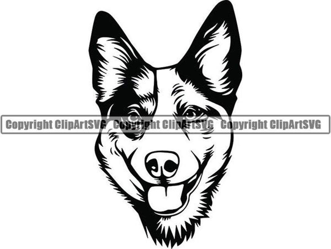 Australian Cattle Dog #2 Smiling Aussie Happy Breed Puppy Canine ...