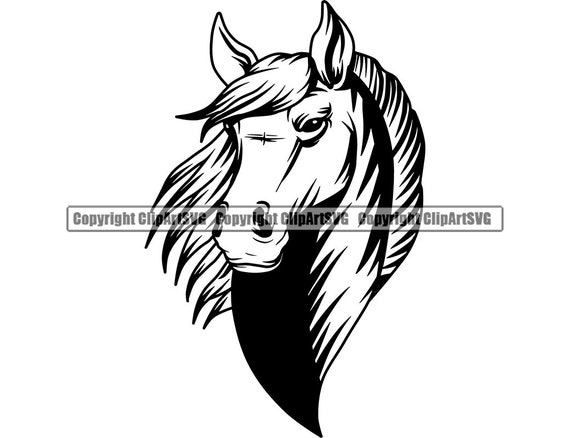 Horse Bronco Mascot Sports Team Wildlife Wild Stallion Mustang Animal ...