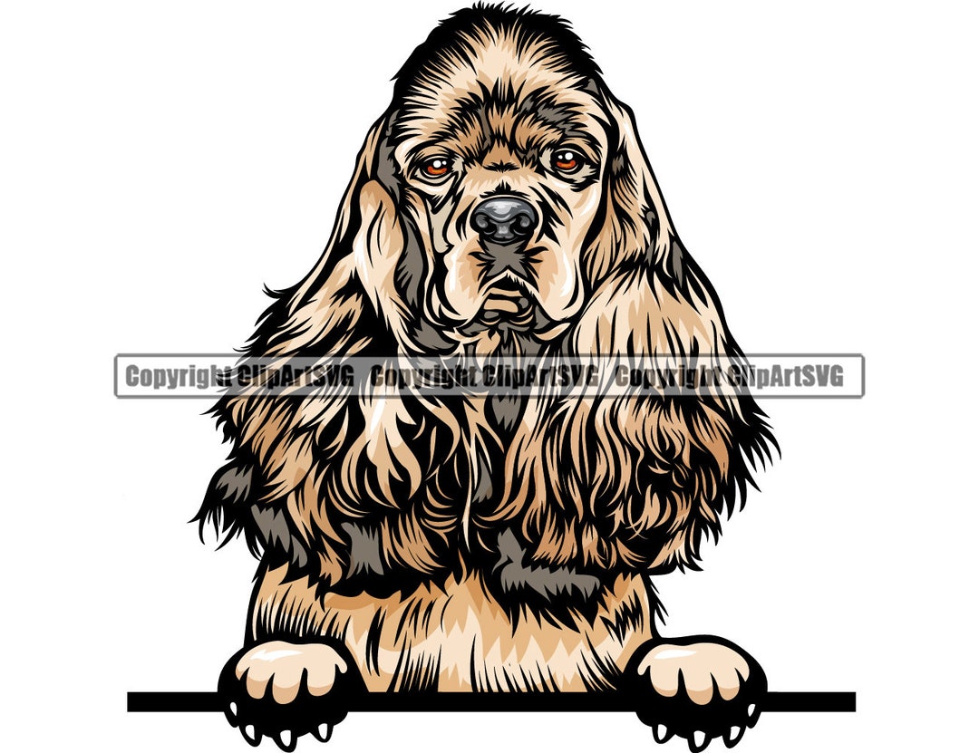 Cocker Spaniel Dog Breed Peeking Peek-a-boo Face Puppy Pet Color ...