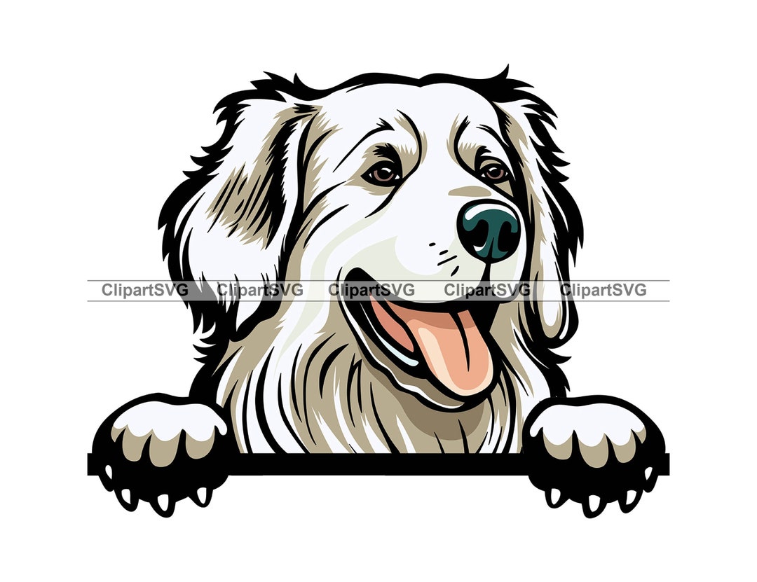 Great Pyrenees Smiling Peeking Dog Puppy Head Canine Breed Pet Portrait ...