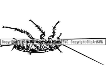 Cockroach Insect Svg - Etsy UK