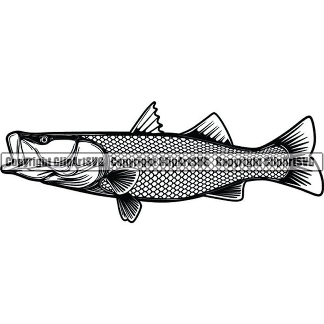 Snook Fish #1 Fishing Angling Salt Water Ocean Sea Marine Life Animal ...