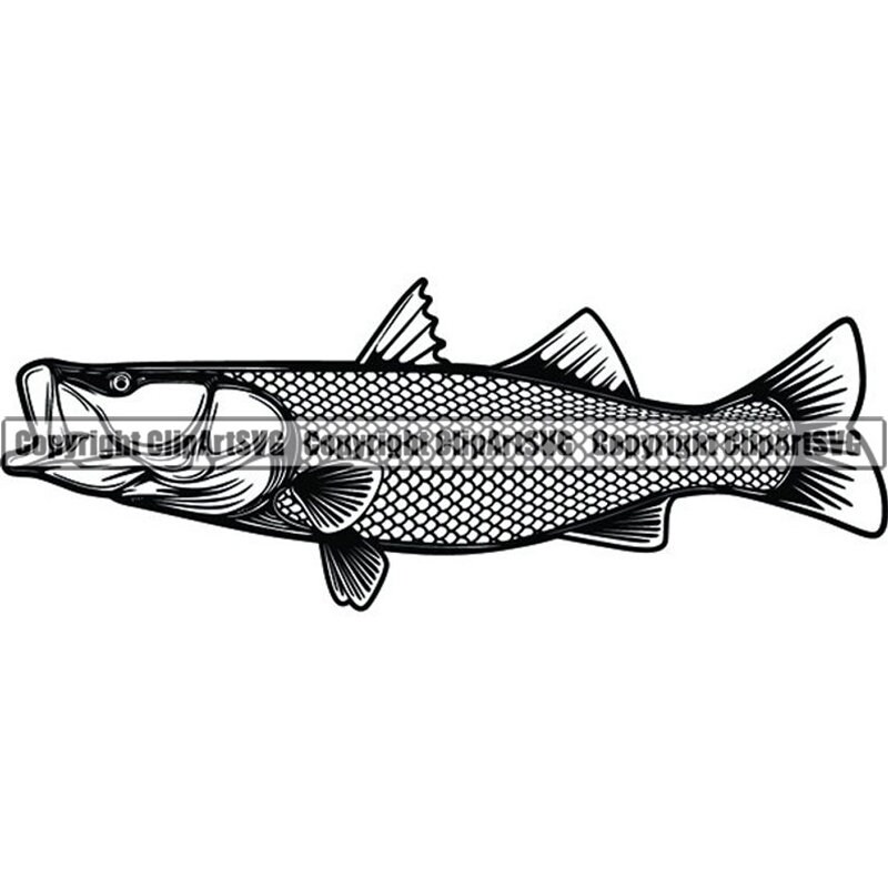 Snook Clipart - Etsy