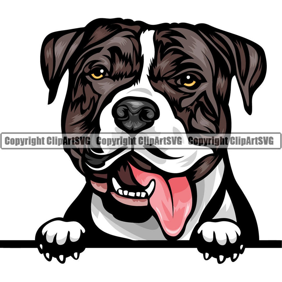 Pit Bull Dog Peeking Peek-a-boo Breed Happy Face Puppy Animal Pet Color ...
