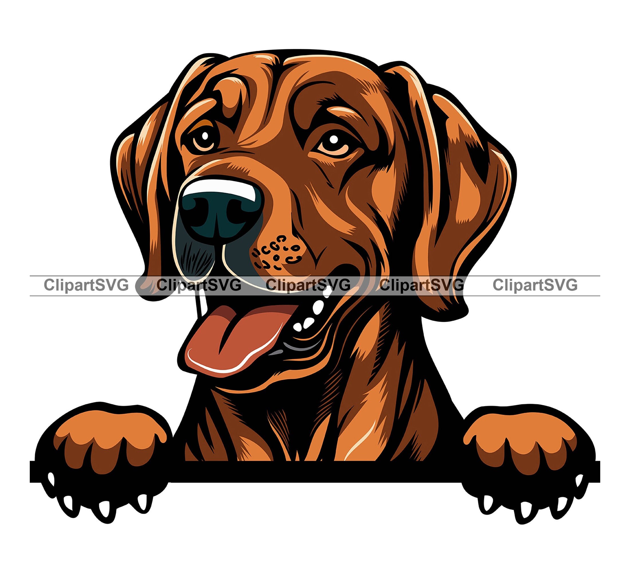 Rhodesian Ridgeback Peeking Dog Smiling Cute Puppy Head Canine - Etsy