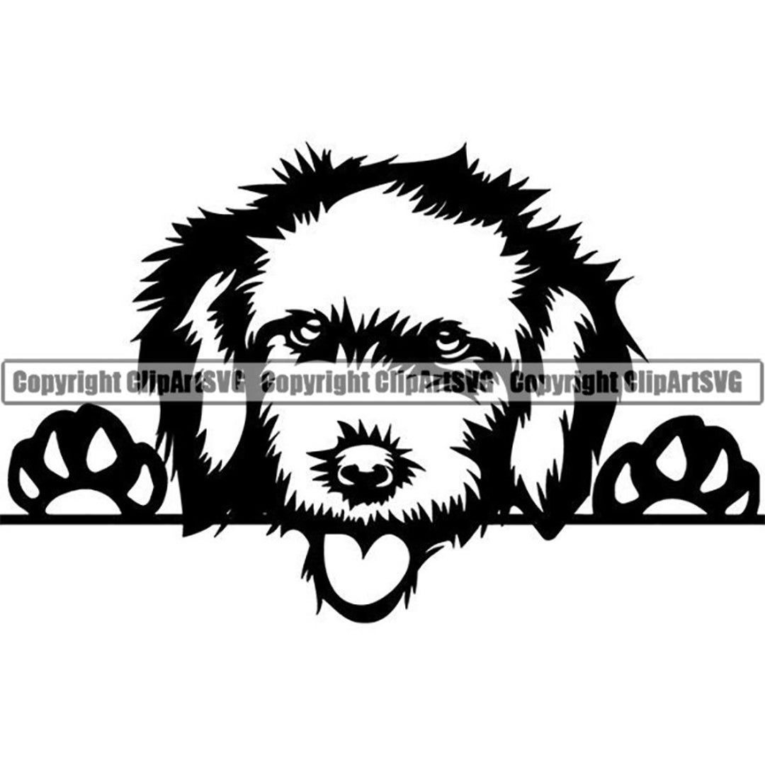 Cockapoo 12 Peeking Dog Smiling Breed K-9 Animal Pet Puppy Cocker ...