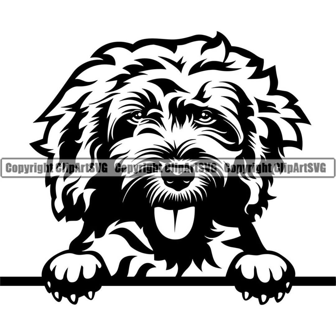 Cockapoo Dog Breed Peeking Peek-a-boo Happy Paw Puppy Pup Pet Cute Art ...