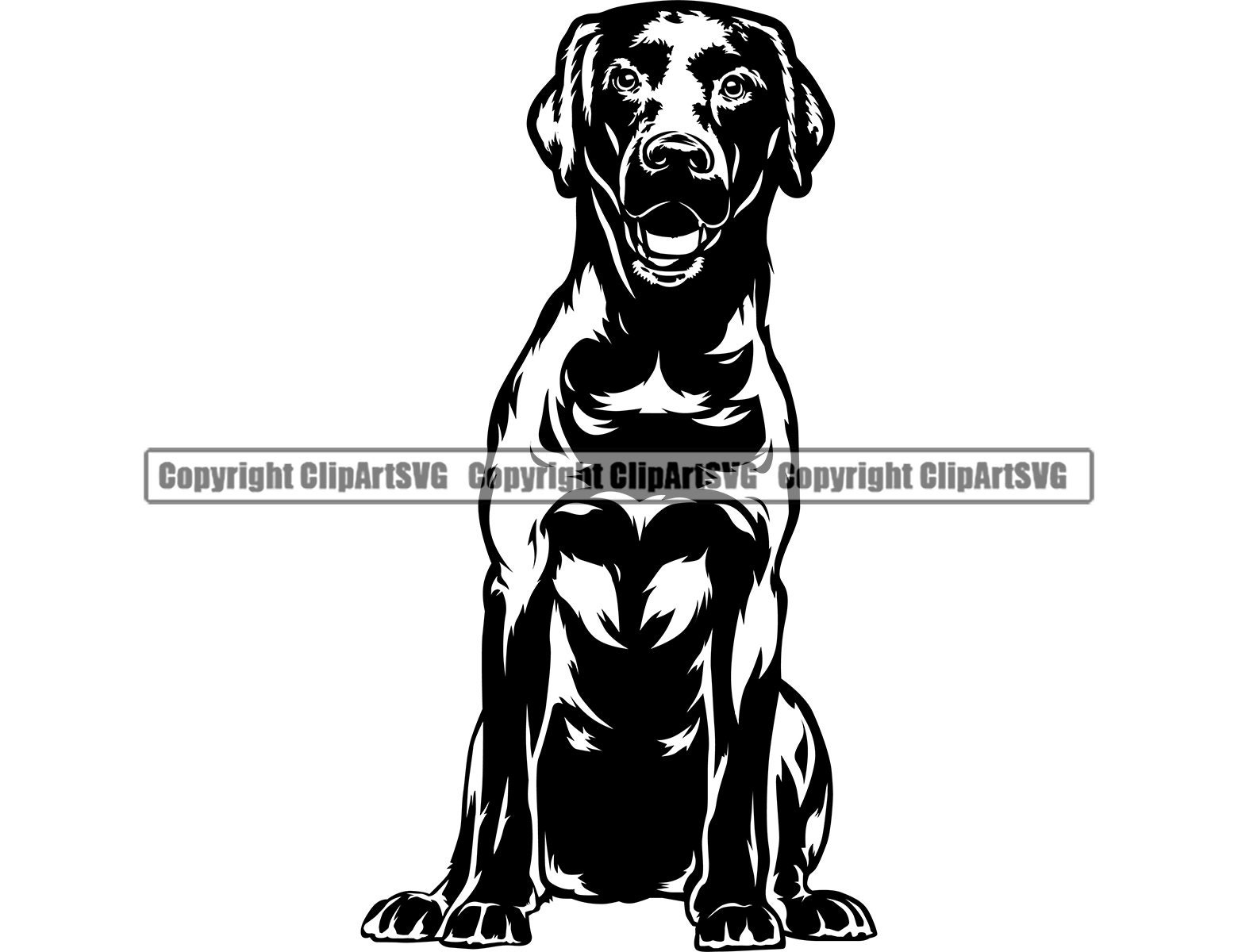 Labrador Retriever Dog Sit Sitting Breed Happy Puppy Pup Pet - Etsy