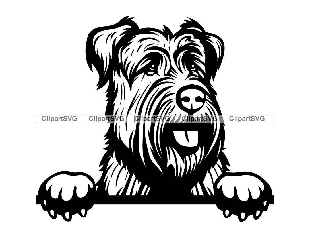 Bouvier Des Flandres Smiling Peeking Dog Cute Puppy Face Canine Pet ...