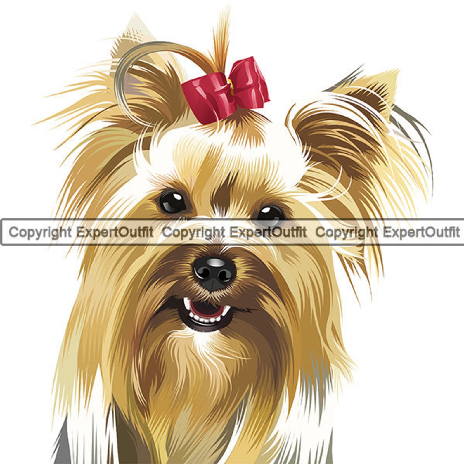 Yorkshire Terrier Yorkie Dog Breed Smiling Puppy Animal Pet Hound ...