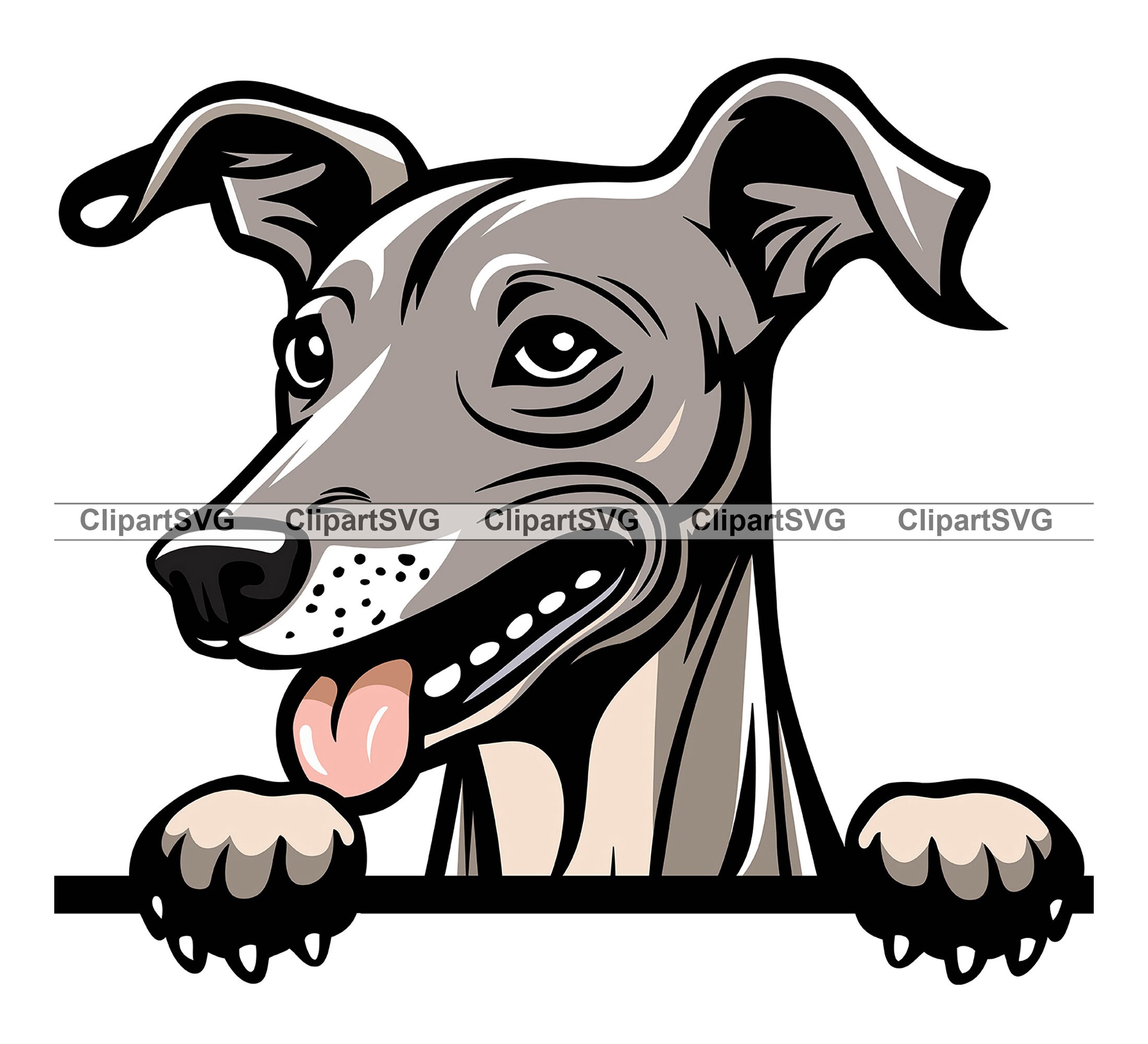 Italian Greyhound Smiling Peeking Dog Puppy Head Canine Pet Breed ...