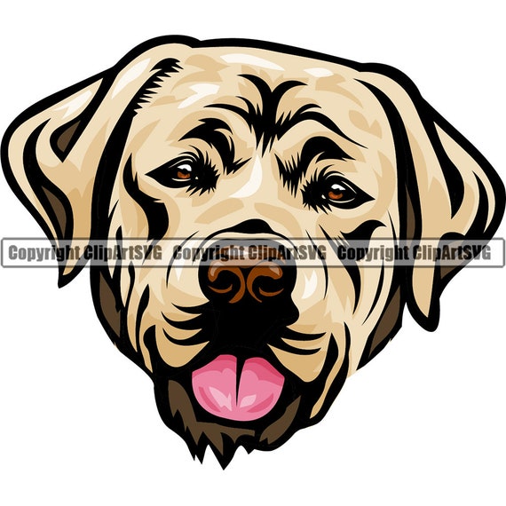 Labrador Dog Breed Happy Face Puppy Animal Pet Pedigree - Etsy