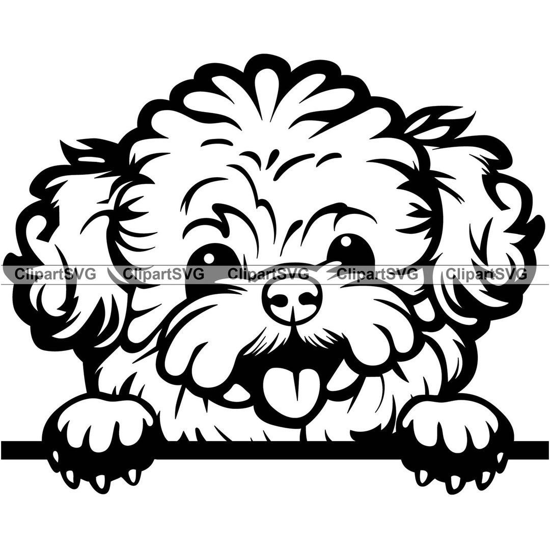 Pomapoo Smiling Peeking Dog Cute Puppy Face Canine Pet Pomeranian Toy ...