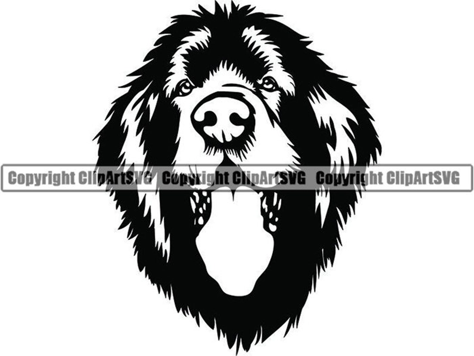 Newfoundland #9 Happy Smiling Dog Breed Puppy K-9 Pedigree Purebred ...