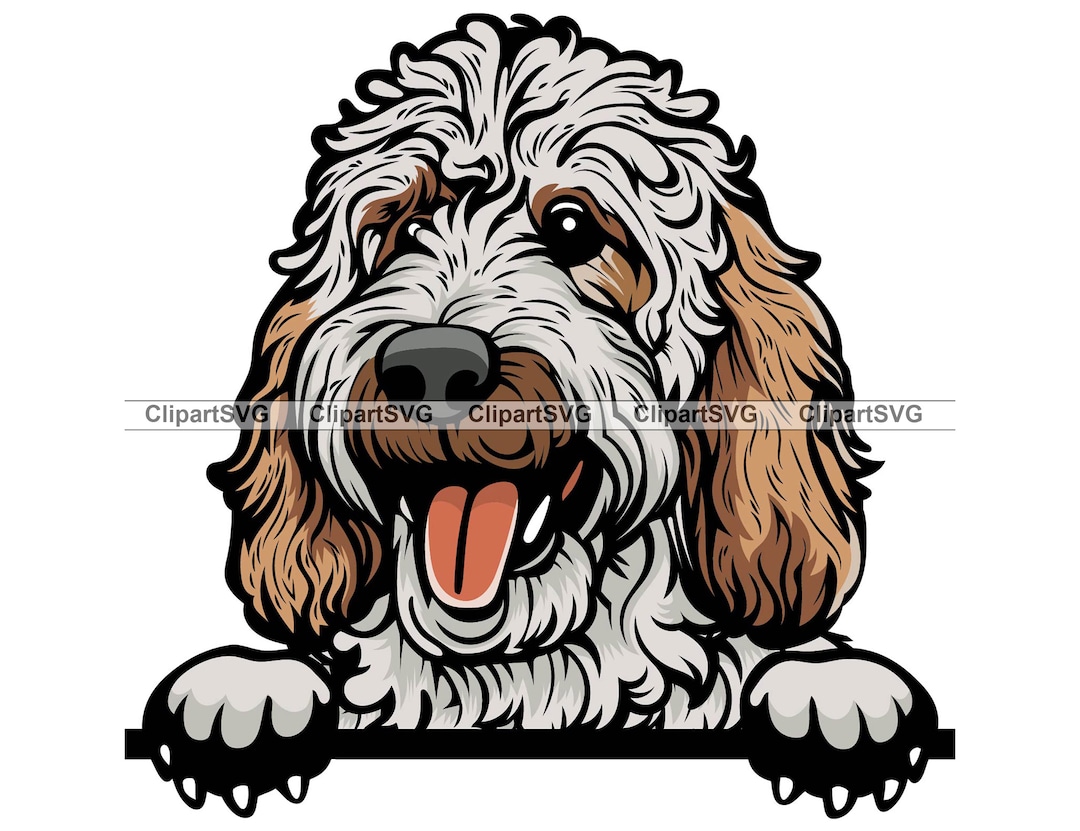 Pyredoodle Smiling Peeking Dog Cute Puppy Head Canine Pet Great ...