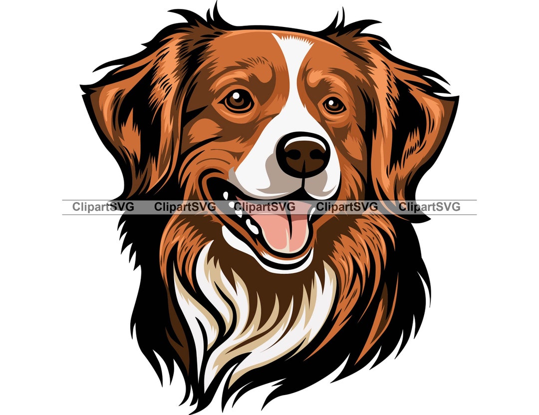 Buy Nova Scotia Duck Tolling Retriever Smiling Dog Cute Puppy Head Pet ...
