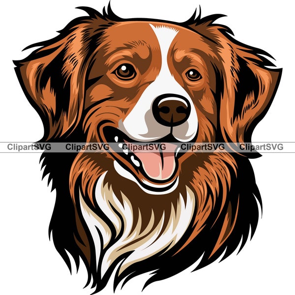 Nova Scotia Duck Tolling Retriever Clipart - Etsy