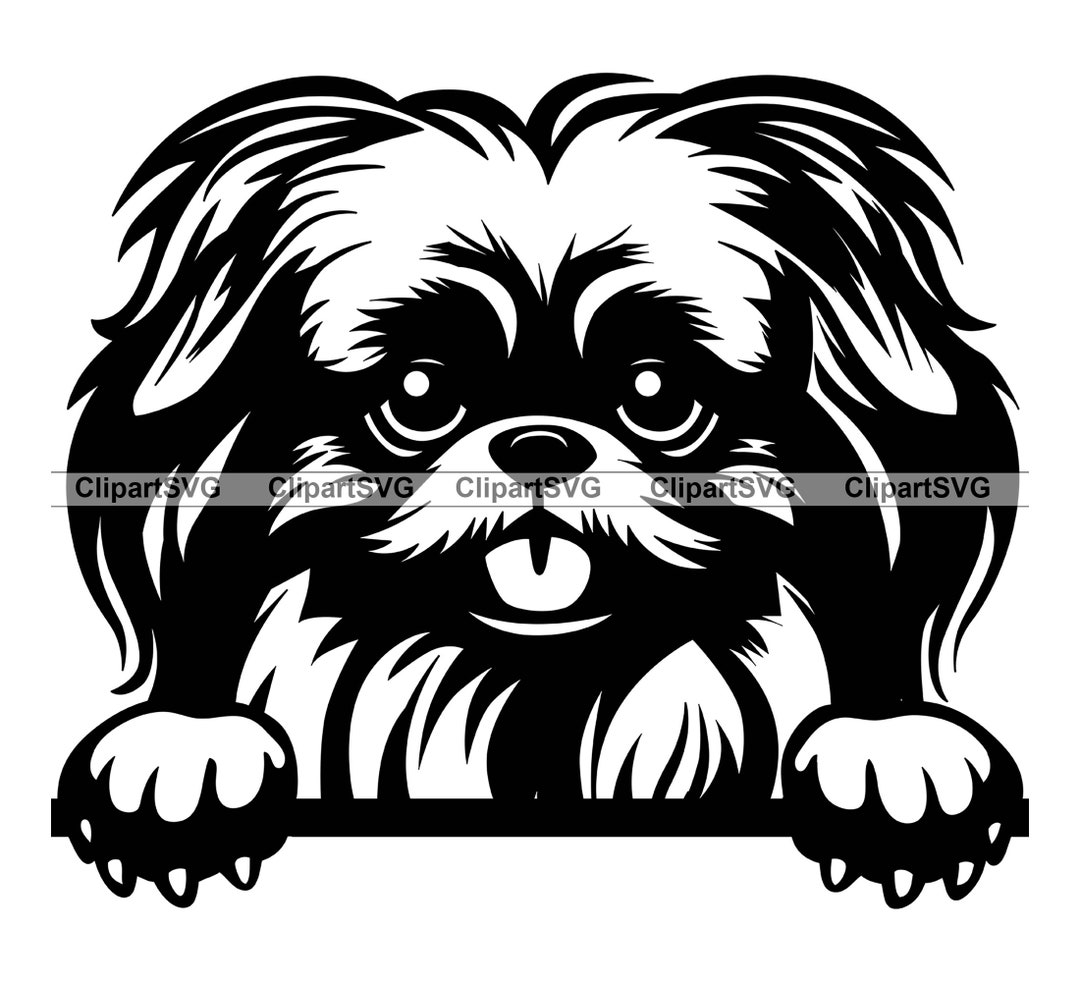 Pekingese Smiling Peeking Dog Cute Puppy Face Canine Pet Breed Animal ...