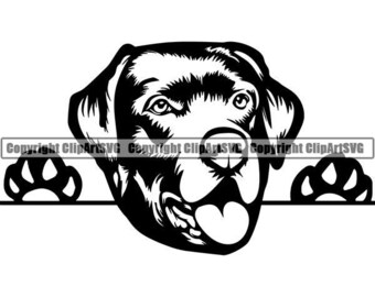 Labrador Pit Mix Svg - Etsy Australia